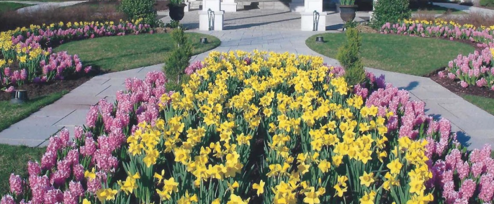 Green Valley Landscaping Nj Llc